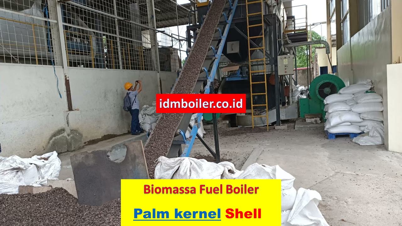 Palm Kernel Shell Fuel Boilers - Fabrikasi Mesin Boiler &Thermal Oil Heater